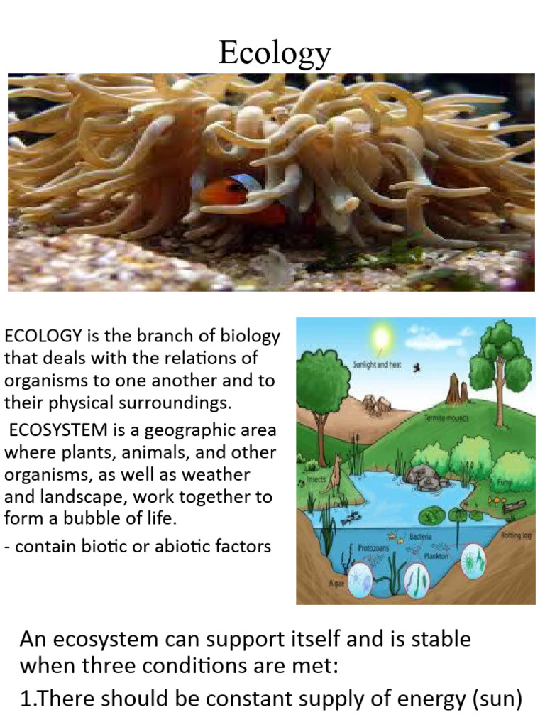 Interaction and Interdependence in Ecosystems | PDF | Marsh | Estuary