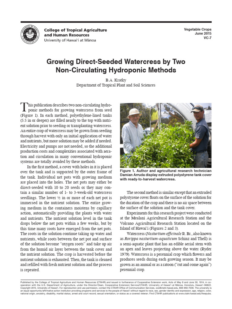 Growing Direct-Seeded Watercress by Two | PDF | Hydroponics | Fertilizer