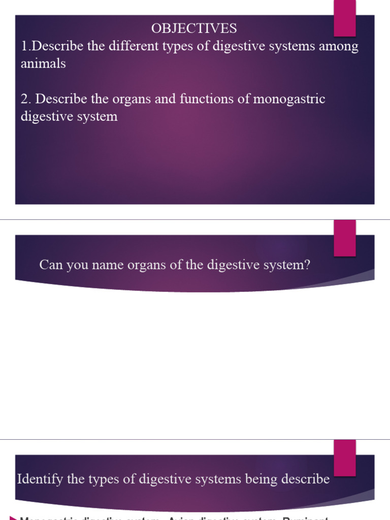 Digestive Systems | PDF | Digestion | Stomach