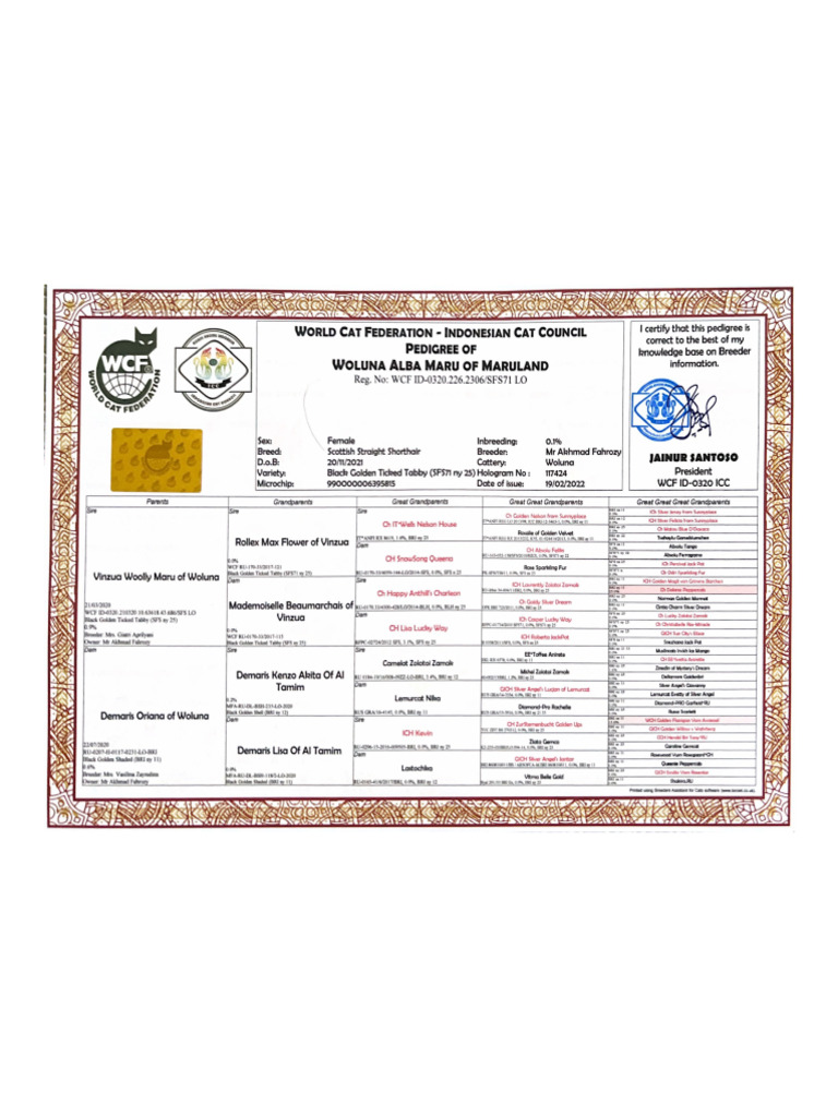 Certificate Alba | PDF