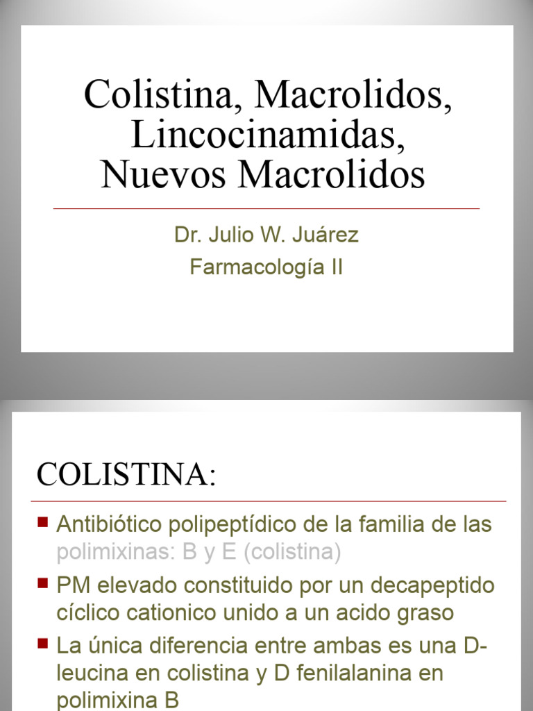 Colistina, Macrolidos, Lincocinamidas, Nuevos Macrolidos | PDF ...