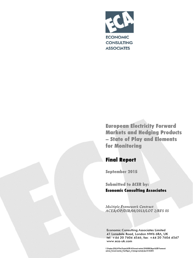 ECA Report On European Electricity Forward Markets | PDF | Hedge ...