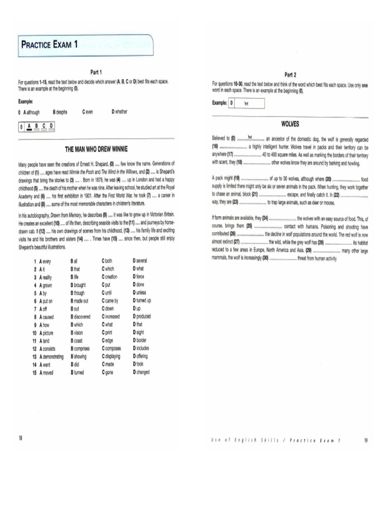 01 Practice Test | PDF