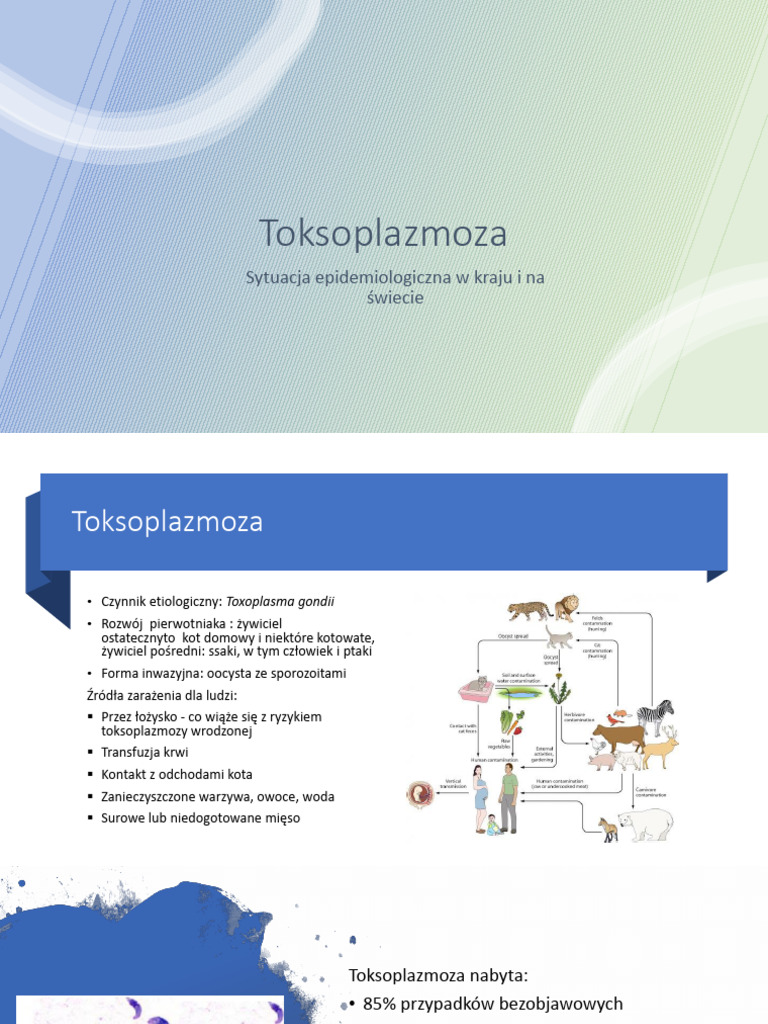 Toksoplazmoza | PDF