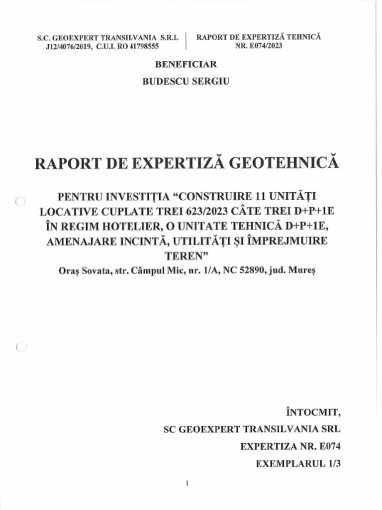 Expertiza Geotehnica | PDF