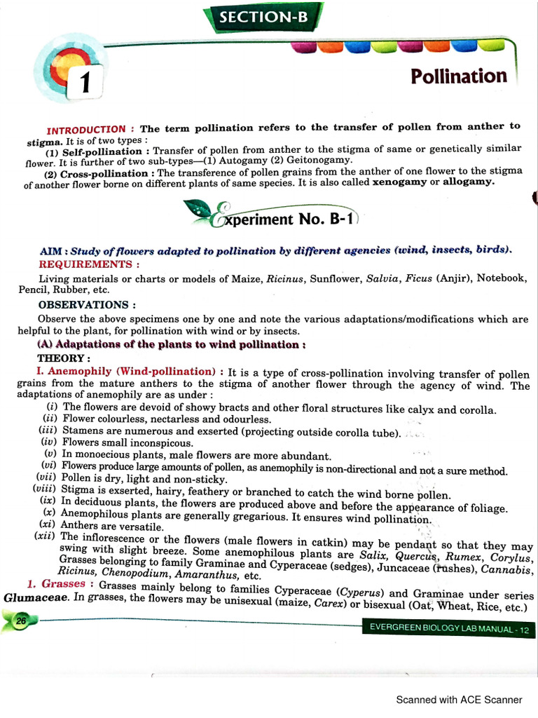12 Th Biology Spotting Practical | PDF