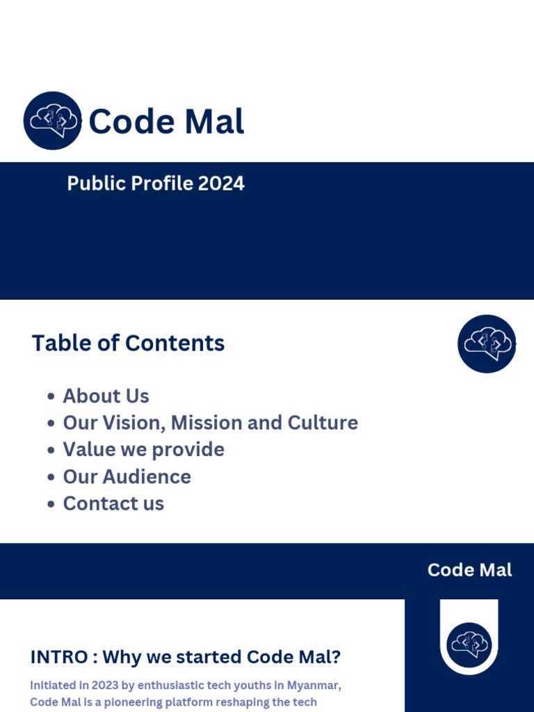 Code Mal Public Profile 2024 | PDF