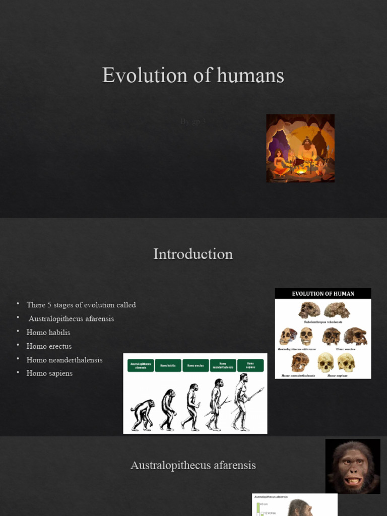 Evolution of Humans | PDF | Homo | Human