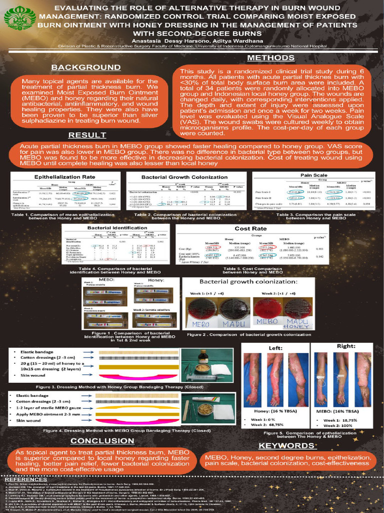 Evaluating the Role of Alternative Therapy in Burn Wound Management ...