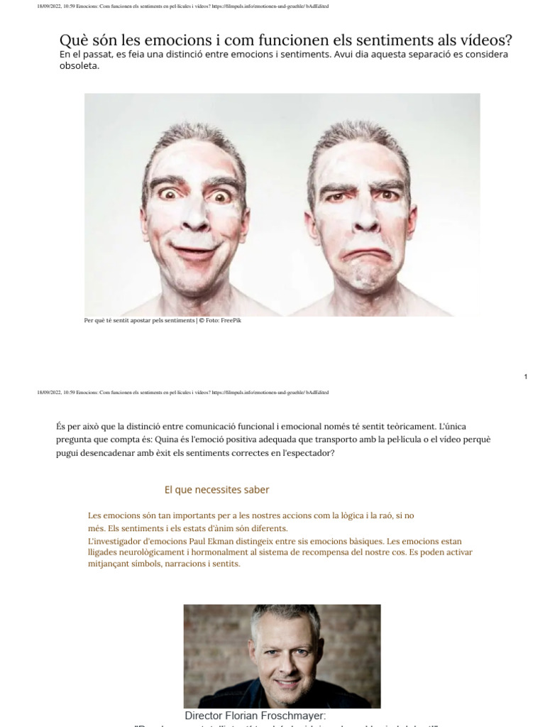 Què Són Les Emocions I Com Funcionen Els Sentiments Als Vídeos? | PDF