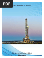 Well Intervention and Integrity Guide | PDF