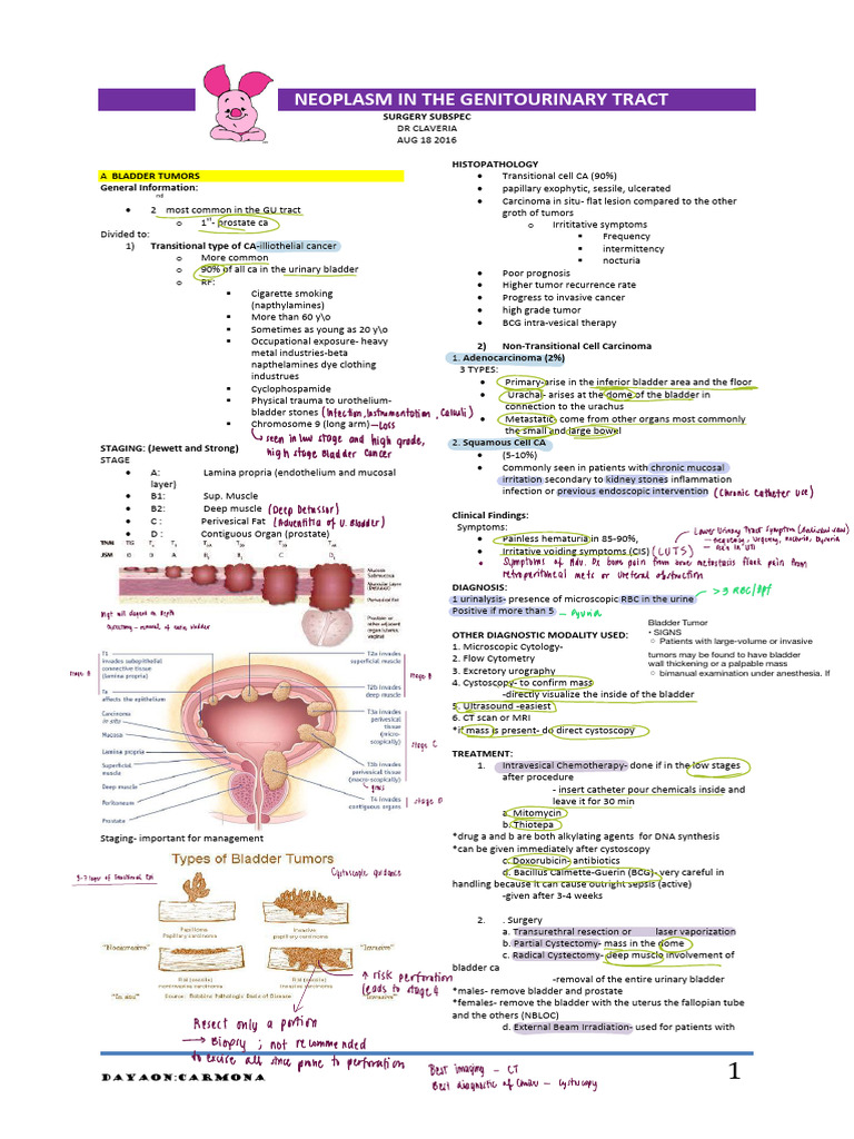 URO 3 - Neoplasm in The Genitourinary Tract | PDF | Prostate Cancer | Metastasis