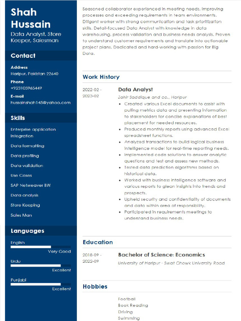 Shah Hussain CV | PDF