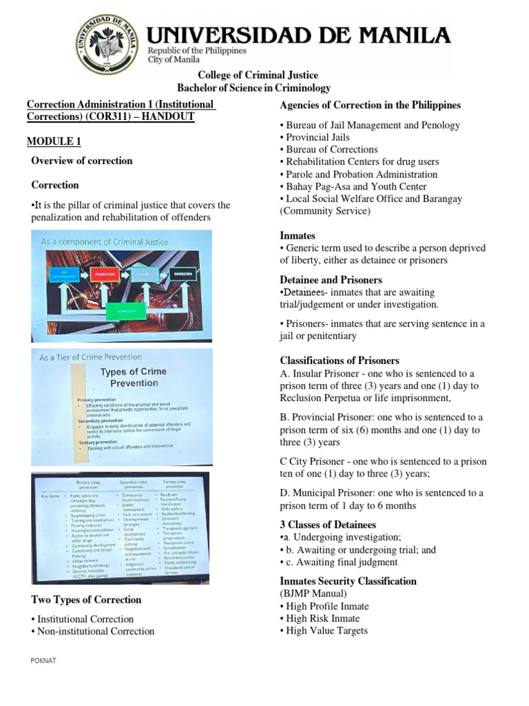 INSTI-HANDOUTS | PDF | Prison | Crimes