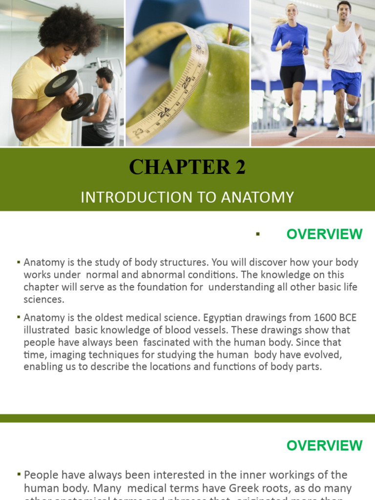 Pathfit 1 Chapter 2 Introduction To Anatomy | Download Free PDF | Skeleton | Bone