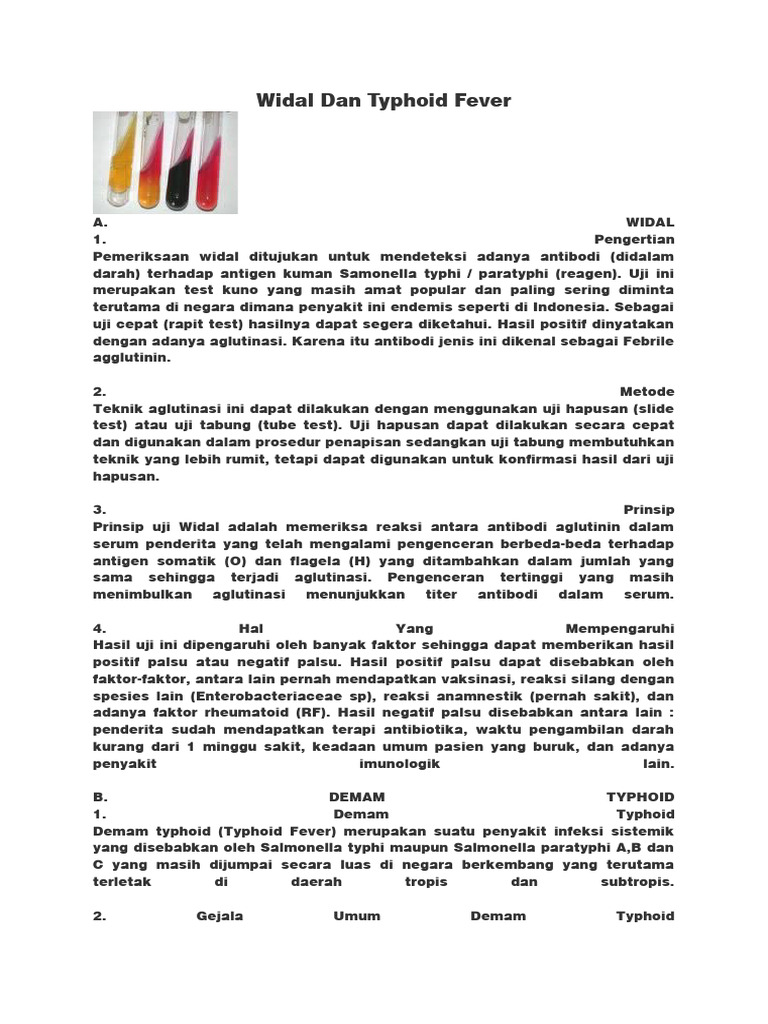 Materi Pemeriksaan Widal | PDF