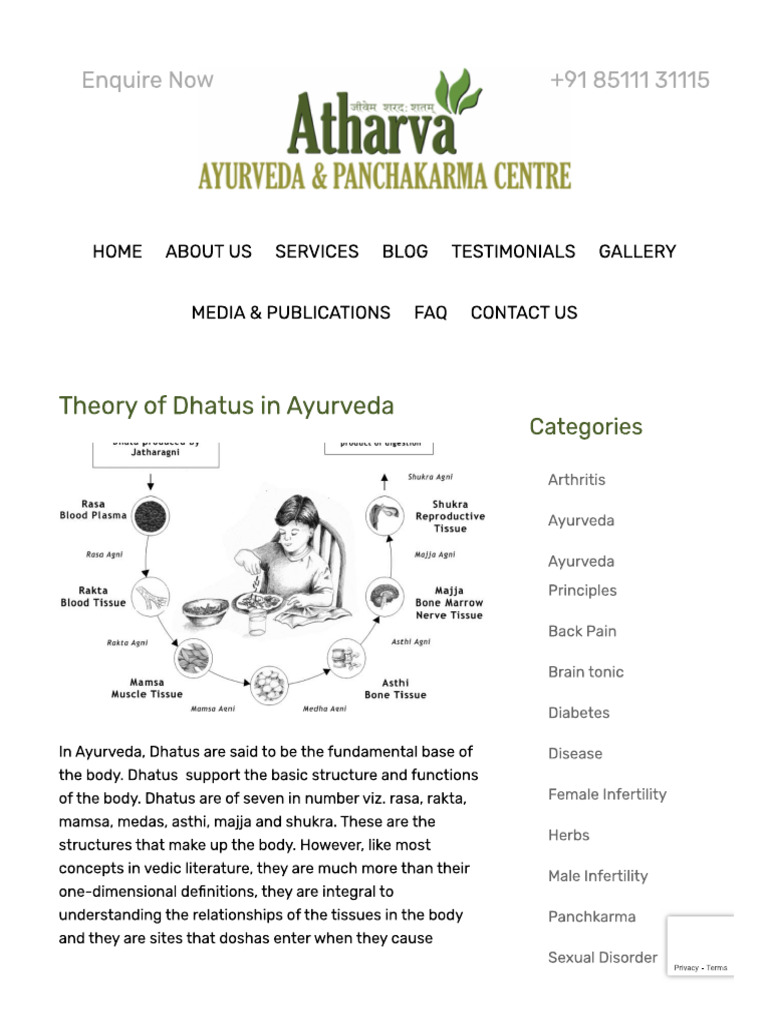 Sapta Dhatu and Their Functions | PDF