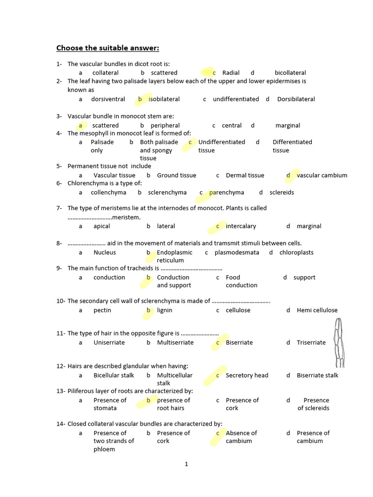 Botany MCQs: Anatomy & Medicinal Plants | PDF | Leaf | Tissue (Biology)