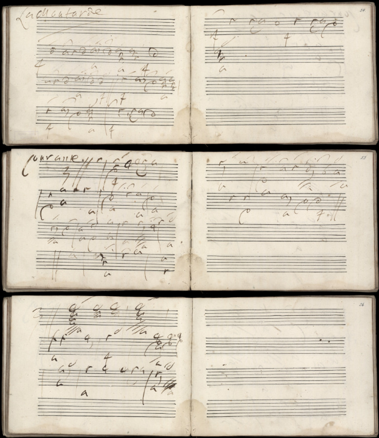 Lute Manuscript - La Moutarde | PDF