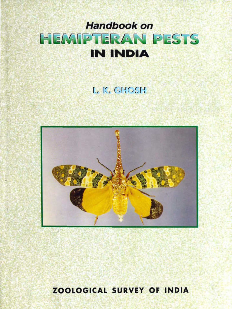 Hemiptera | PDF | Pest (Organism) | Agriculture