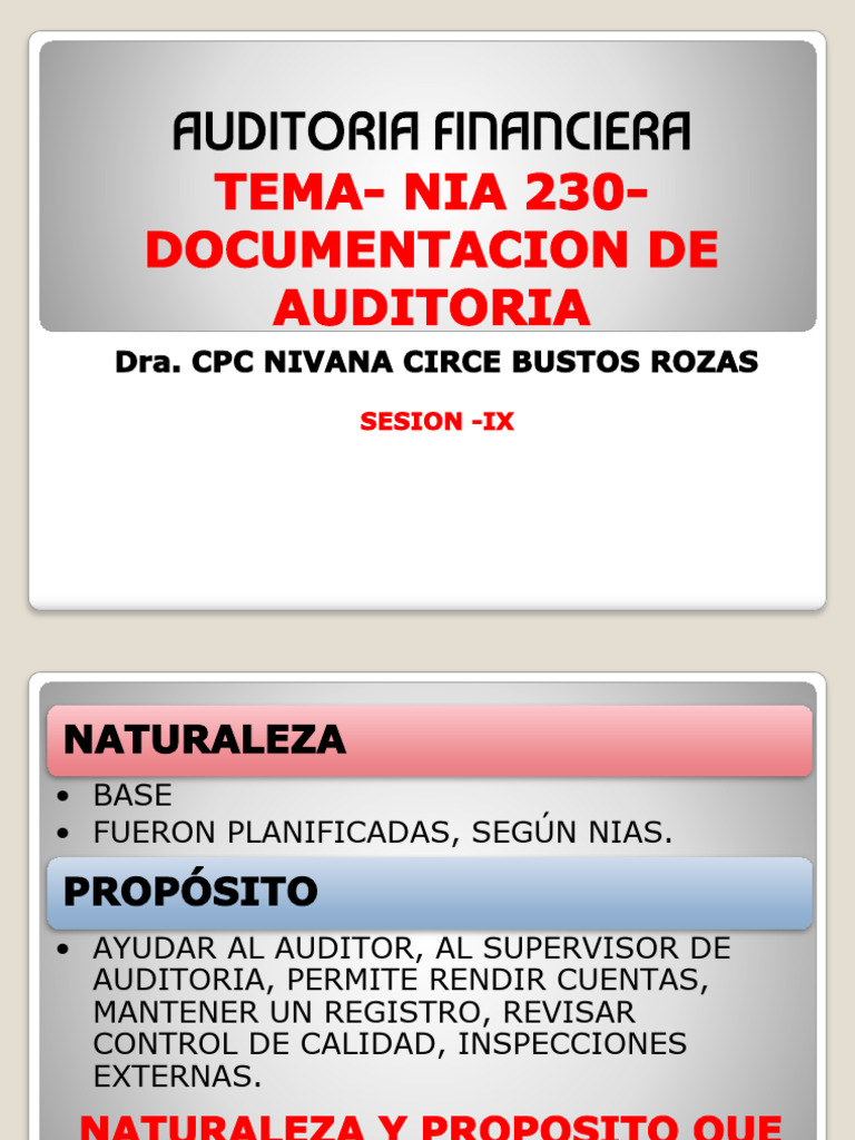Nia 230 Documentos de Auditoria | PDF
