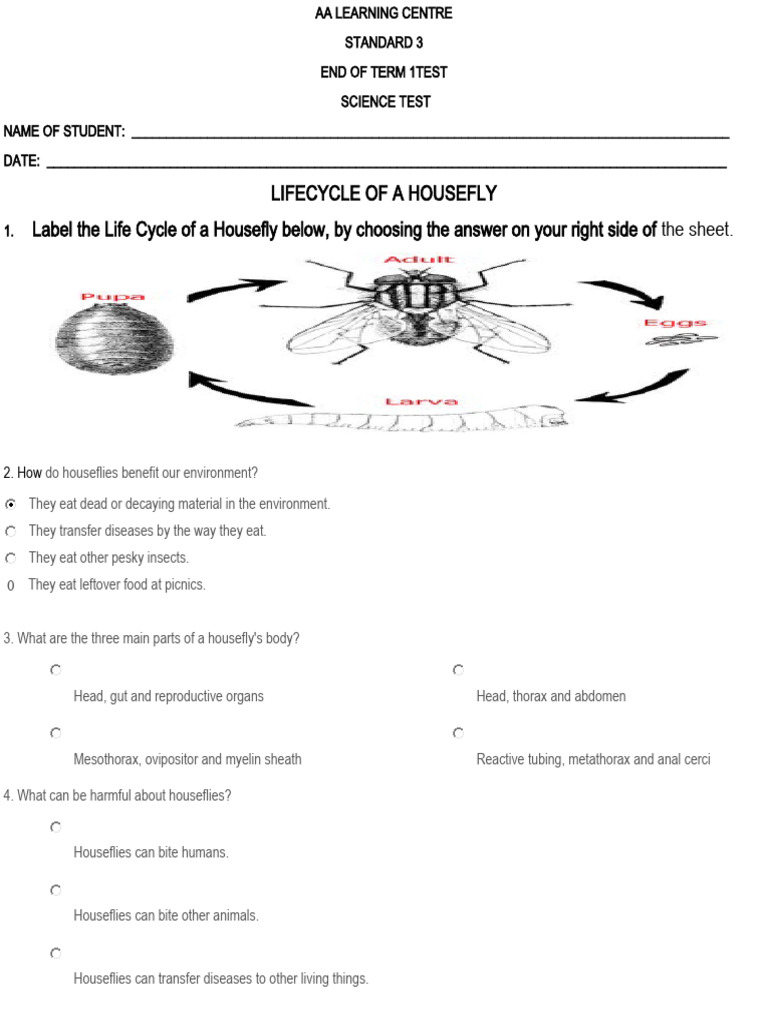 STD 3 End of Term 1 Science Test With Answers | PDF | Butterfly | Frog