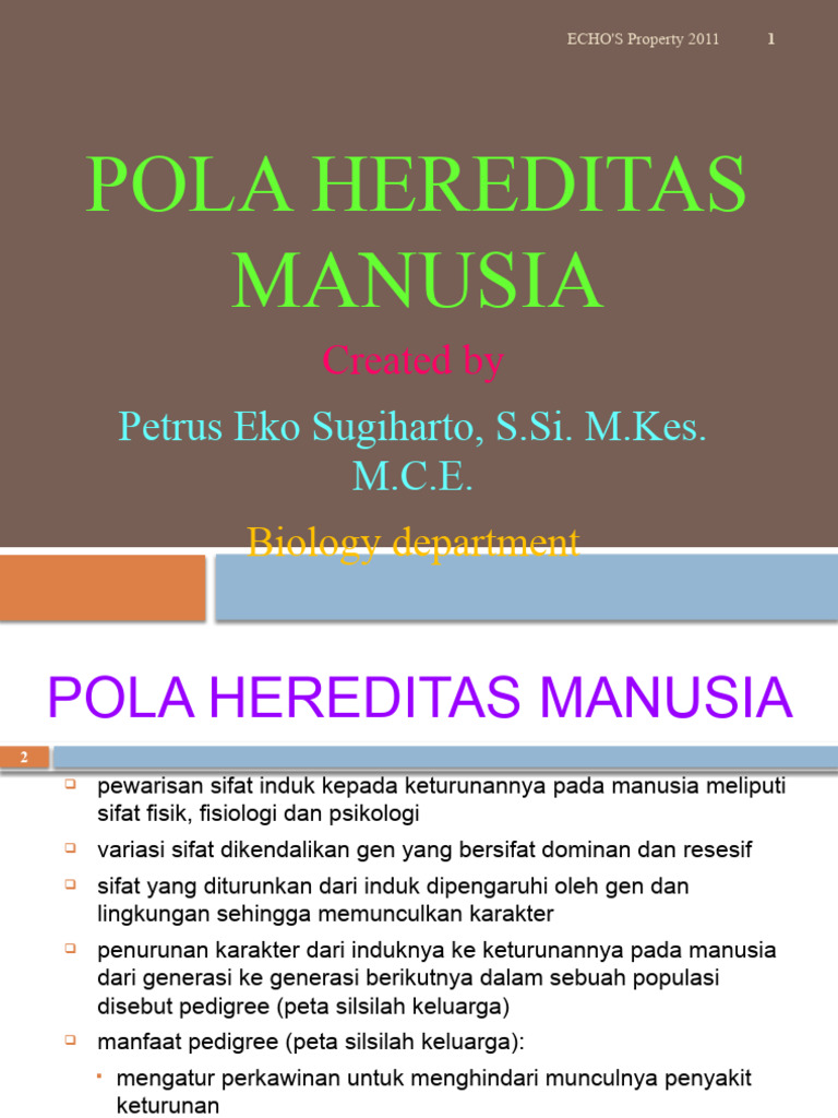 Pola Hereditas Manusia | PDF