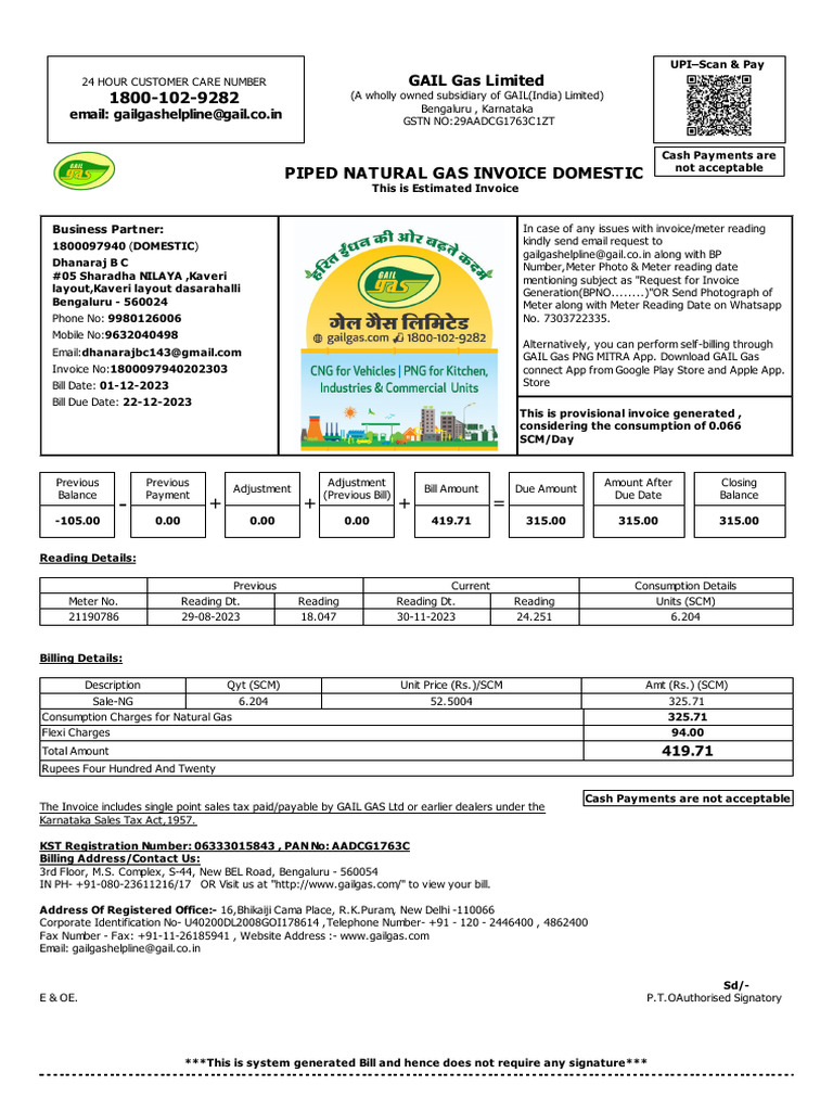Piped Natural Gas Invoice Details | PDF | Cheque | Liquefied Petroleum Gas