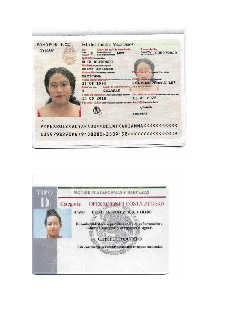 Pasaporte Delmy | PDF