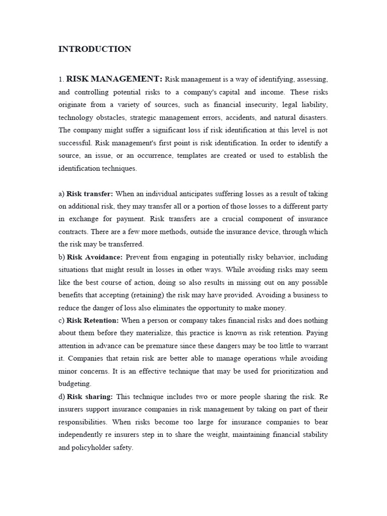 Literature Review 1 | PDF | Risk | Risk Management