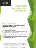 Substantivul-Cazurile Și Funcțiile Sintactice | PDF