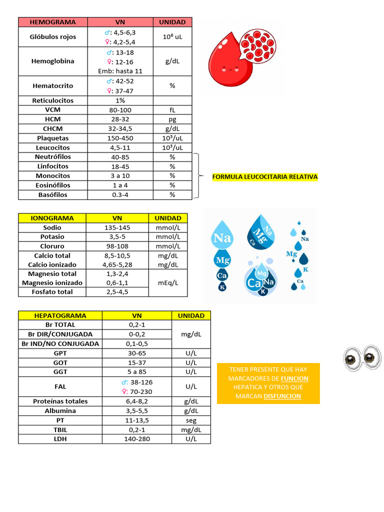 Valores Normales Lab-1 | PDF | Sangre | Especialidades Medicas