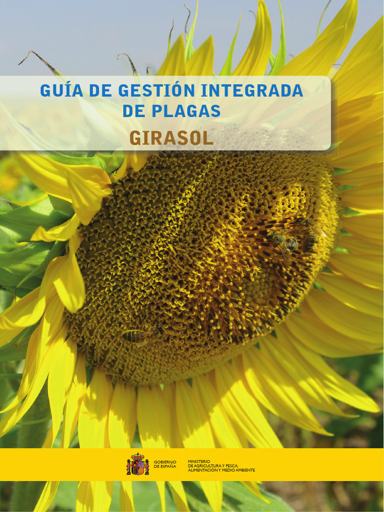 Plan Integrado de Plagas Girasol | PDF | Pesticida | Agricultura