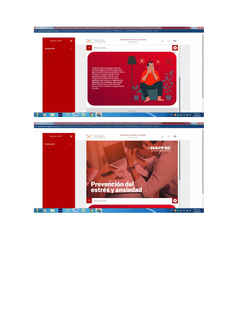 Mapfre Curso Estres | PDF