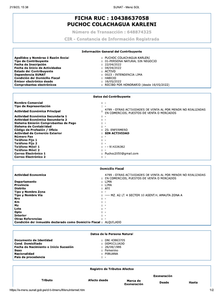 Ficha Ruc | PDF