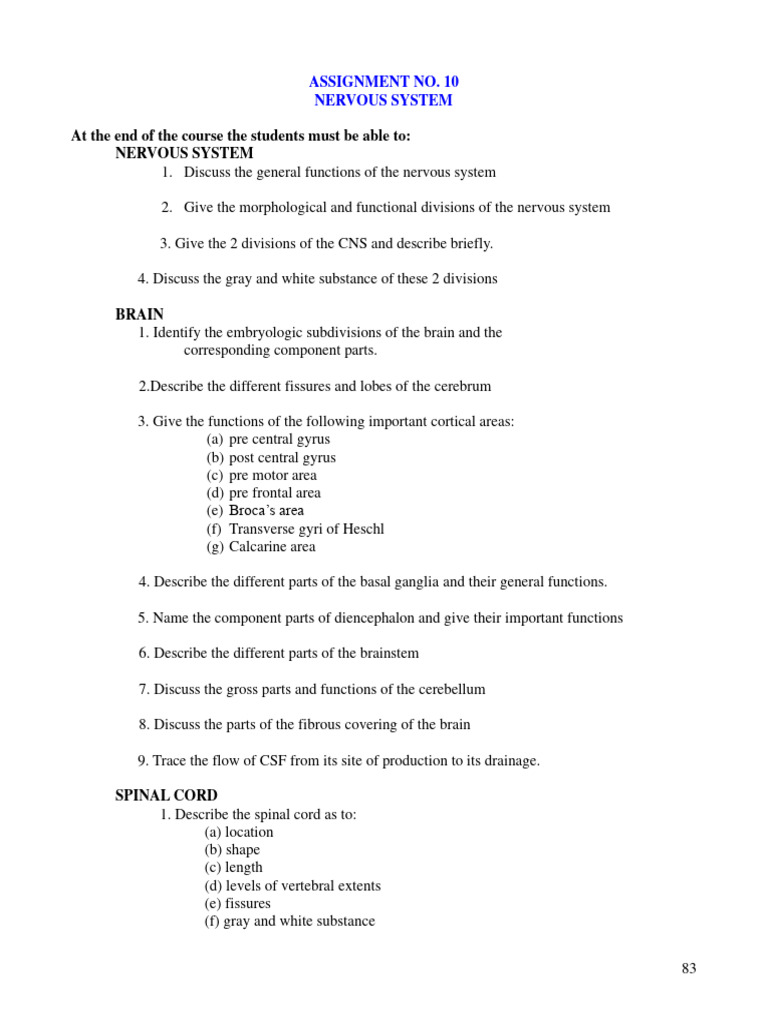 LAB Nervous System | PDF | Cerebral Cortex | Cerebellum