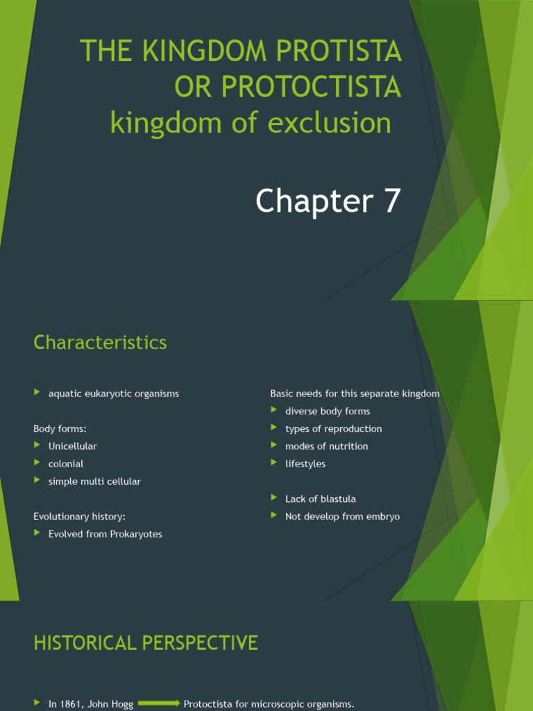 The Kingdom Protista or Protoctista | PDF | Algae | Protozoa