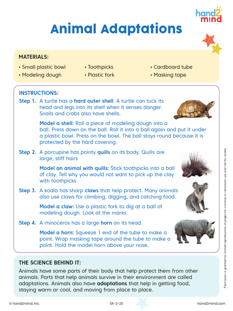 Animal Adaptations Activities Guide | PDF | Home & Garden