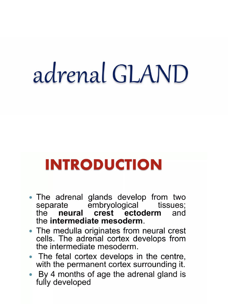 Adrenal Gland Endocrinology | PDF