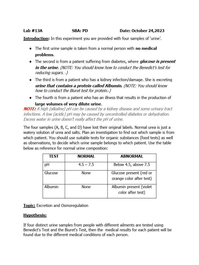 Excretion and Osmoregulation PD Lab | PDF | Urine | Experiment