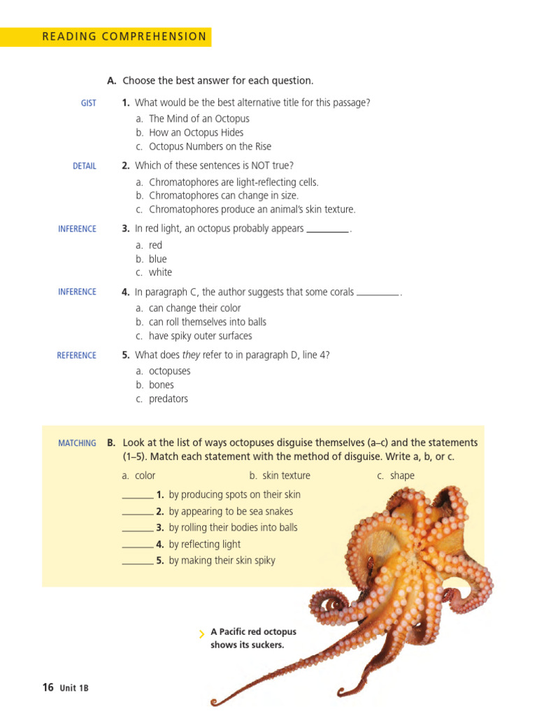 Reading Explorer 1 (Başlangıç-Orta) 3 | PDF