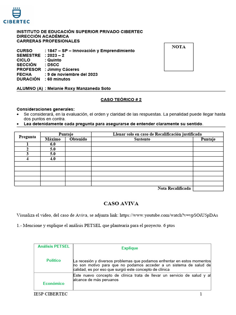 Análisis PETSEL y Prototipos en Aviva | PDF