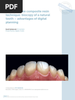 DSD Template PowerPoint | PDF