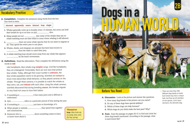 Reading Explorer 2 Orta-İleri 11 | PDF