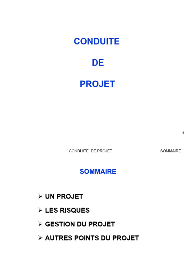Cours Gestion de PROJET1 | PDF | Gestion de projet | Planification