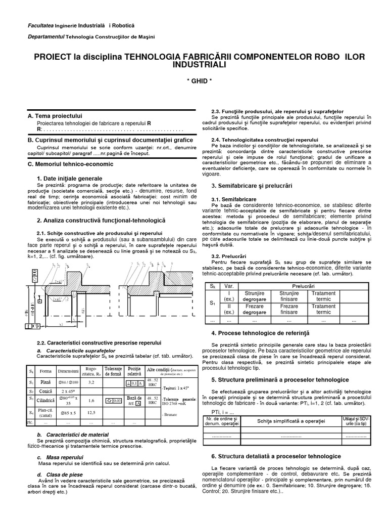 Ghid Proiect TFCRI | PDF