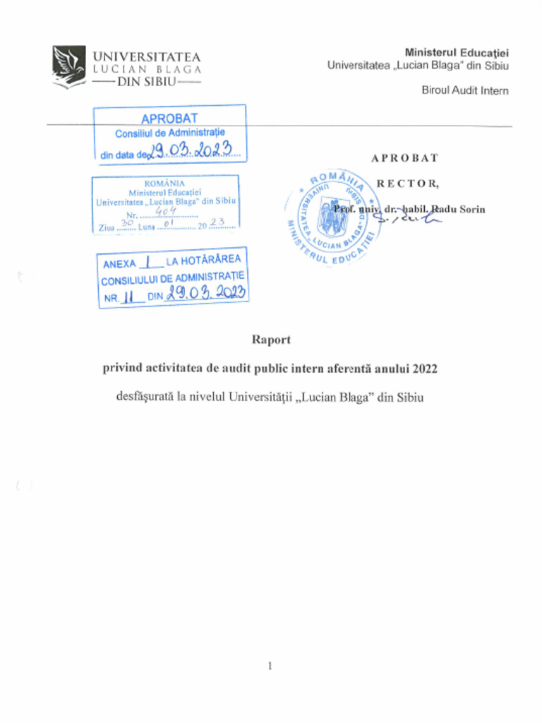 Anexa 1 - Raport de Audit Public Intern | PDF