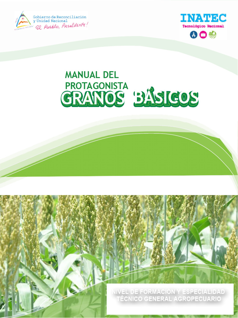 Granos - Basicos INATEC | PDF | Maíz | Arado