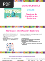 Pruebas Bioquímicas Enterobacterias | PDF | Química | Las bacterias