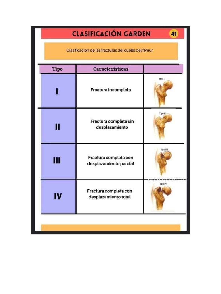 Clasificacion de Garden | PDF